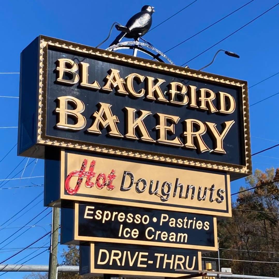 Blackbird On The Fly - Explore Bristol